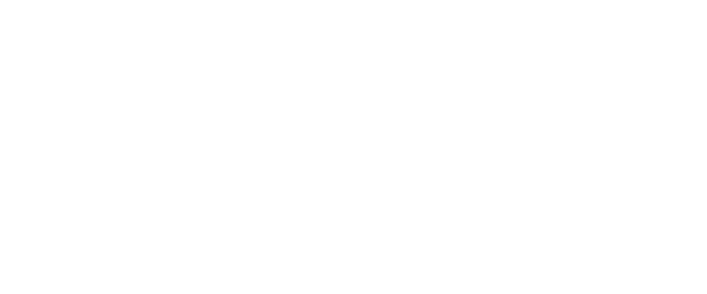 Alzo Logistics